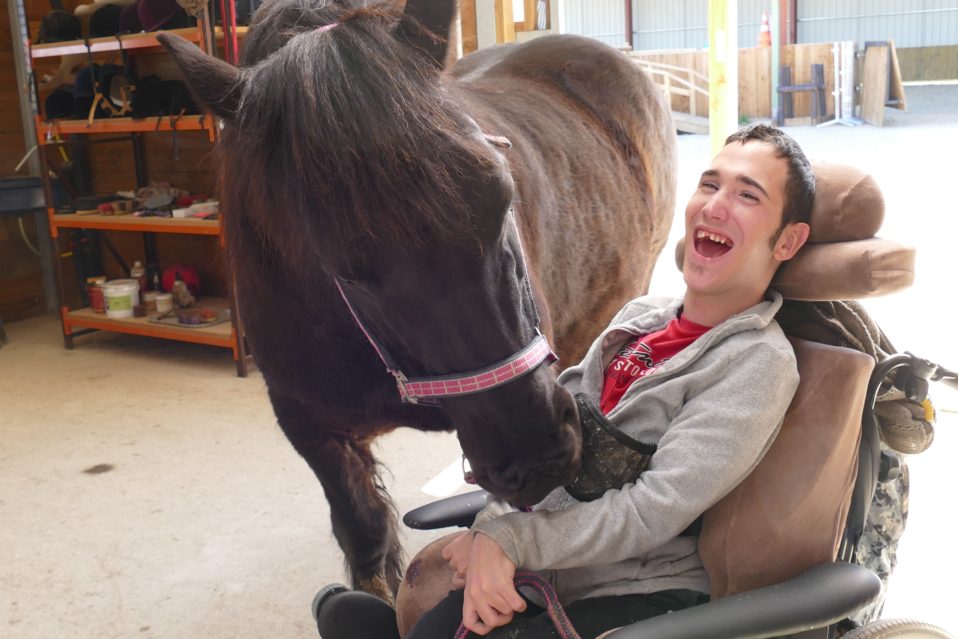 Le Centre d’équithérapie – Fondation Marie-Louise